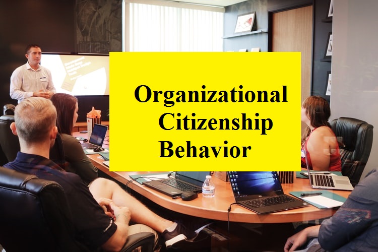 Organizational Citizenship Behavior - Definition, Types and Examples ...