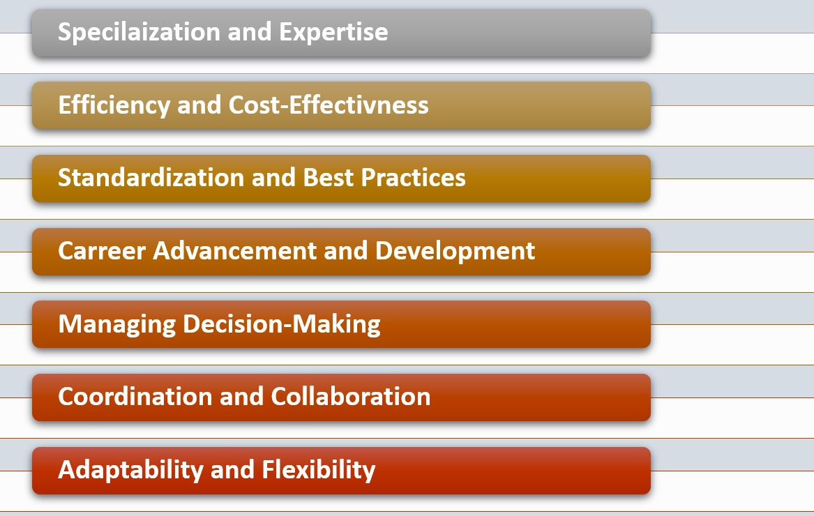 Functional Management - Concept, Responsibilities, Advantages ...